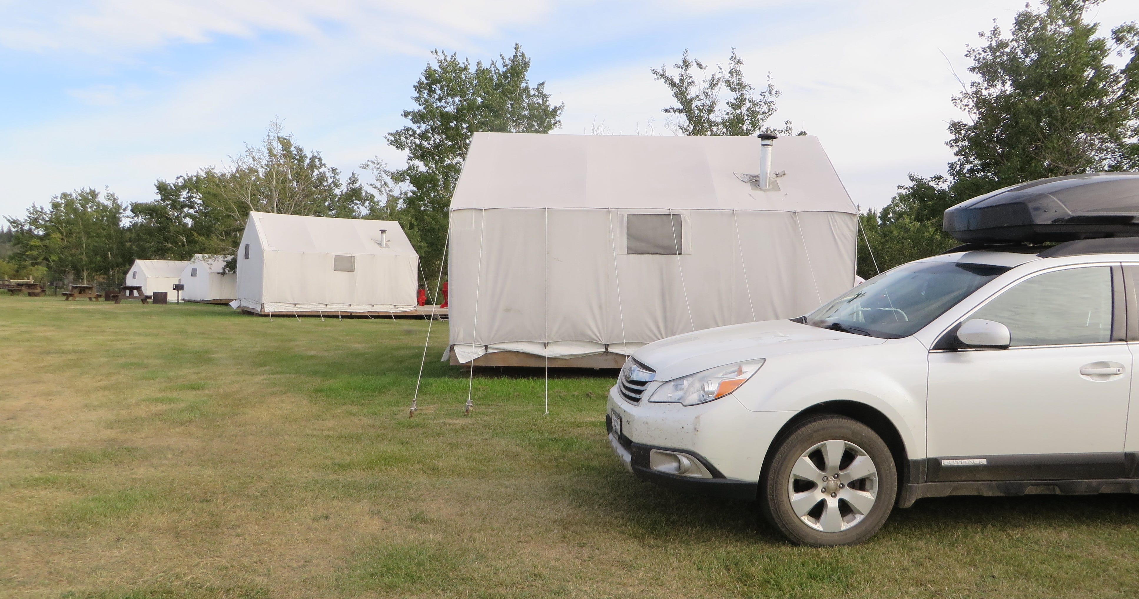 Métis Crossing: Where rare white bison roam