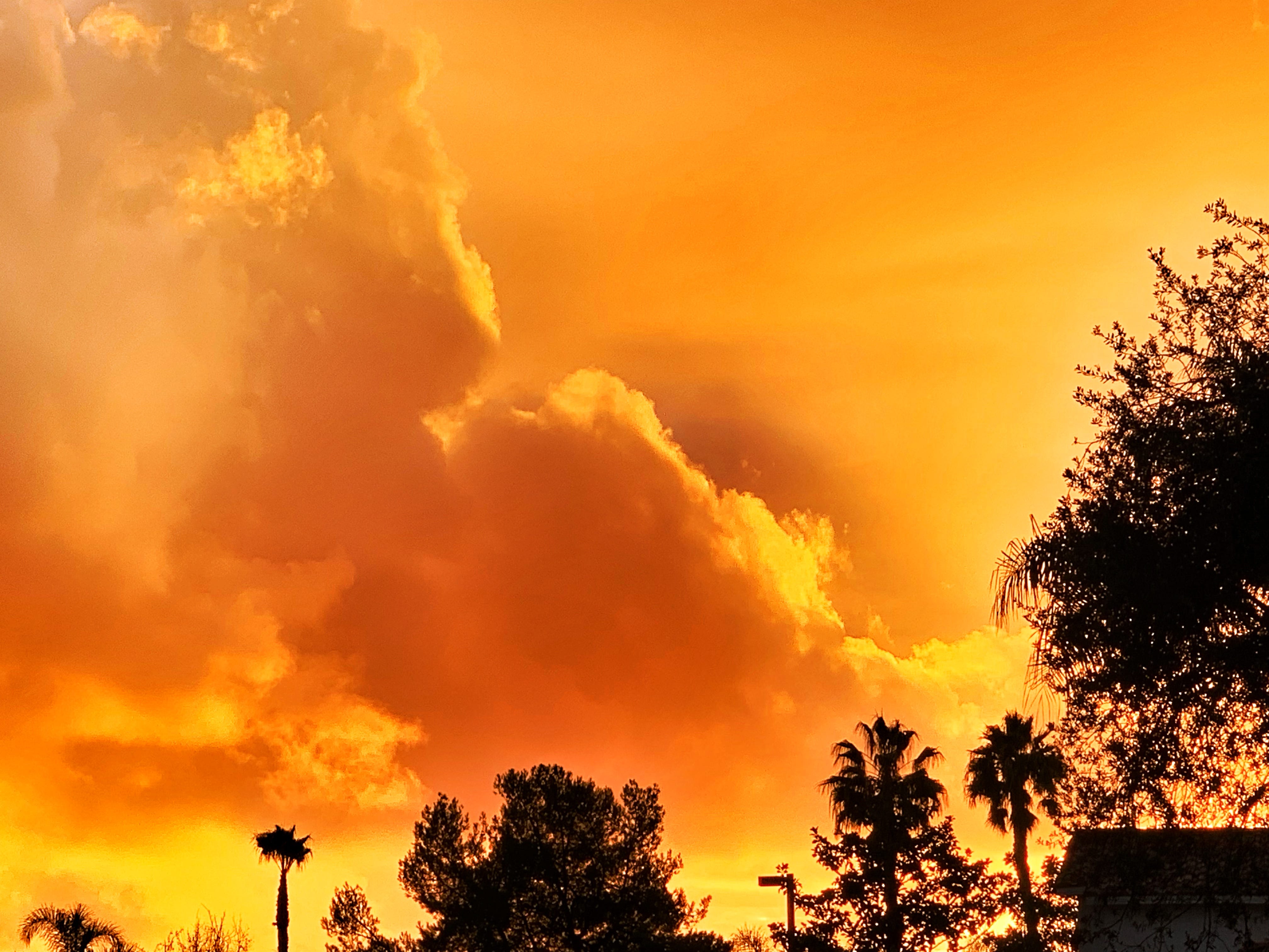 Consciousness Letter 5 - by Nathan Davila