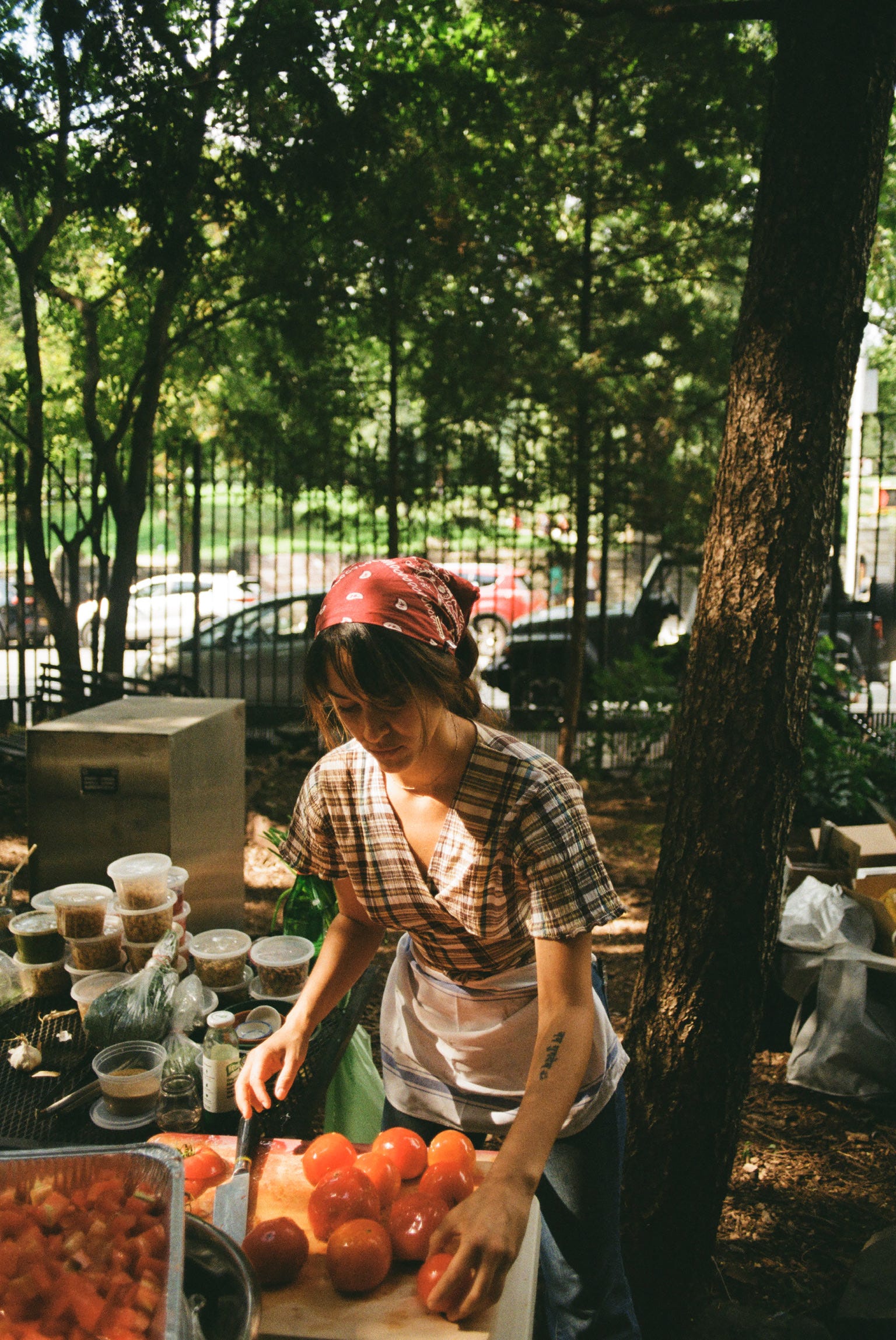 Andrea Aliseda | Substack