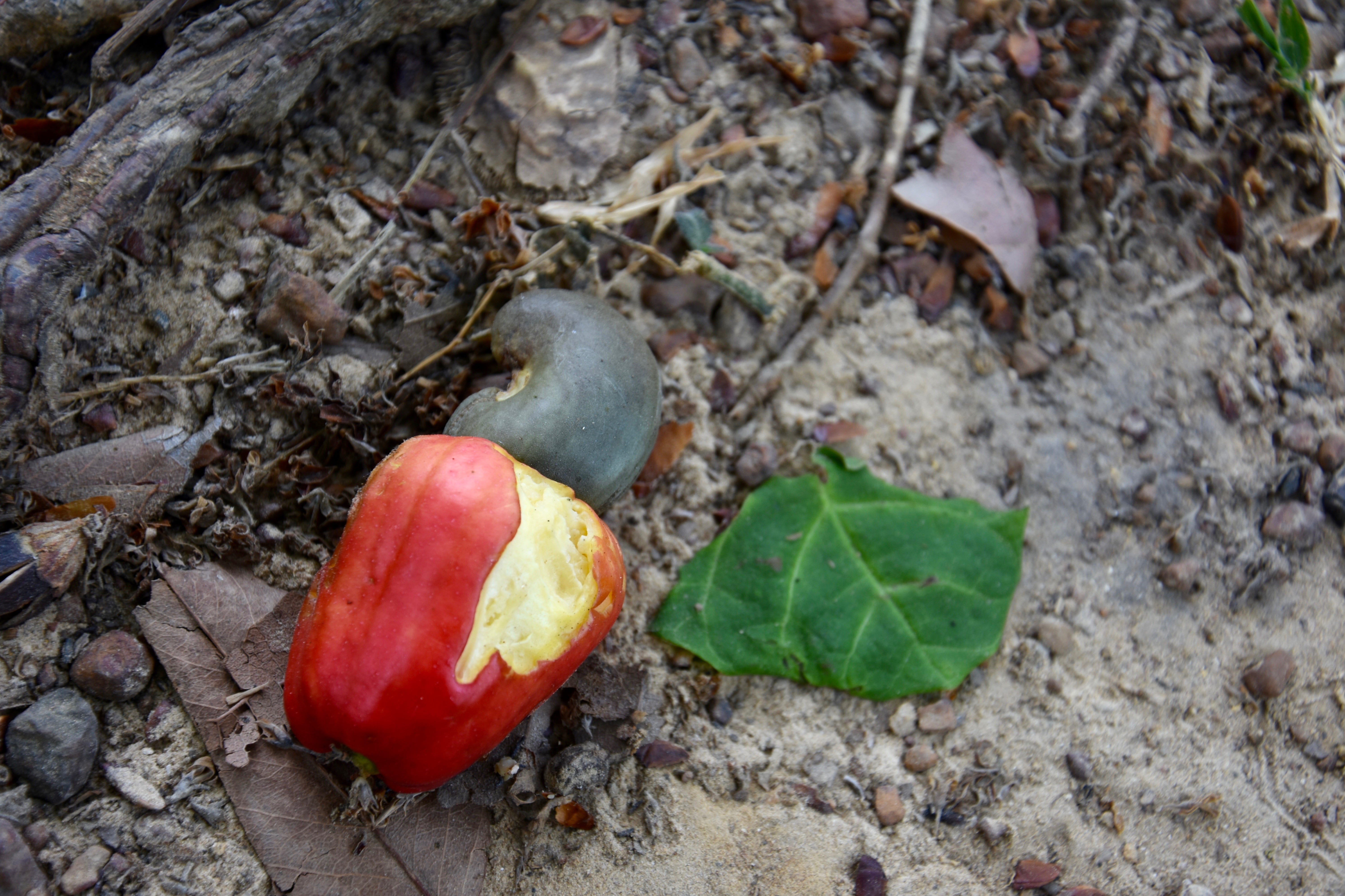 An overview of the Bulon island group - by David Luekens