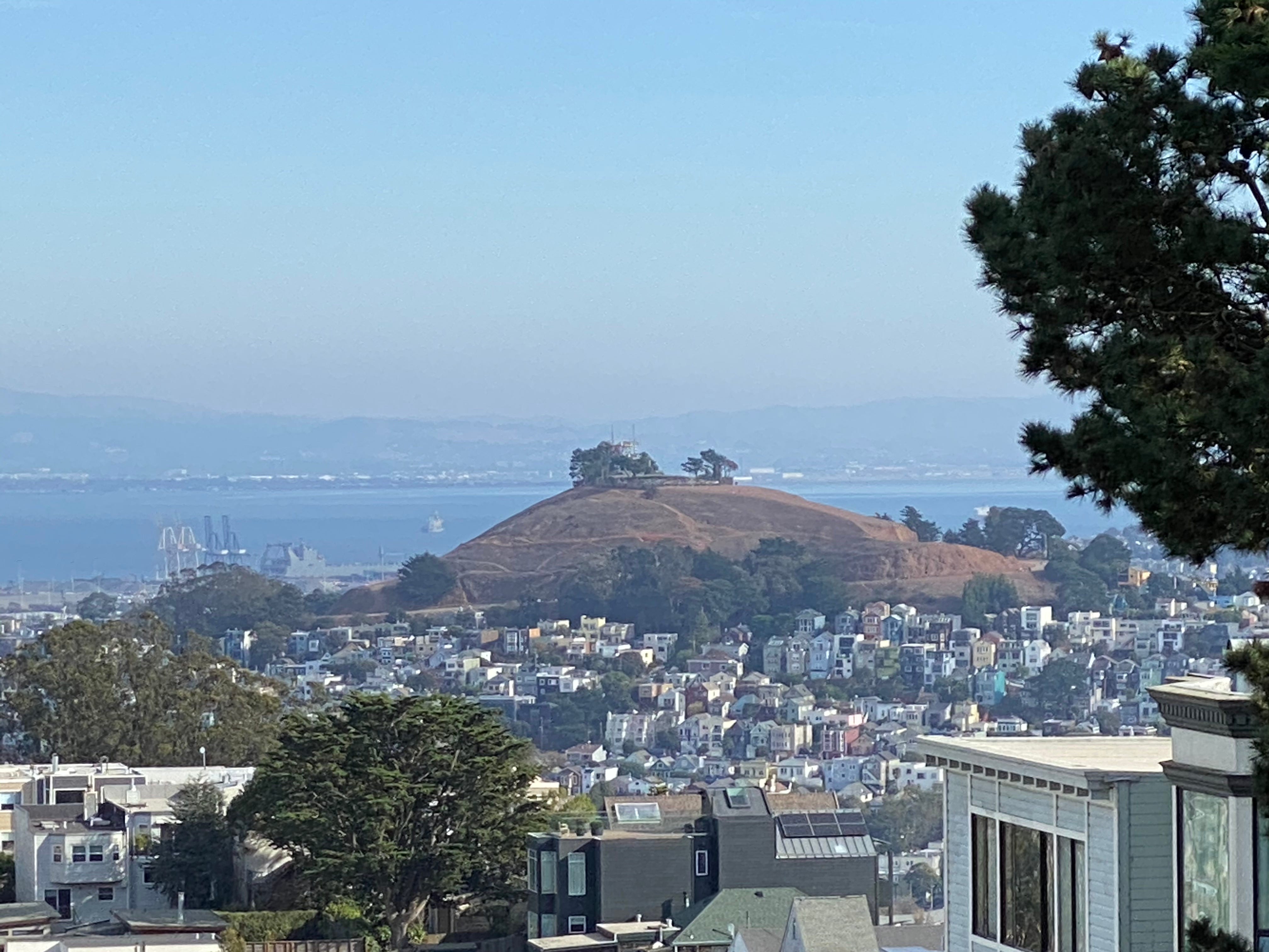 Walking - Mary Rose Cook’s Newsletter