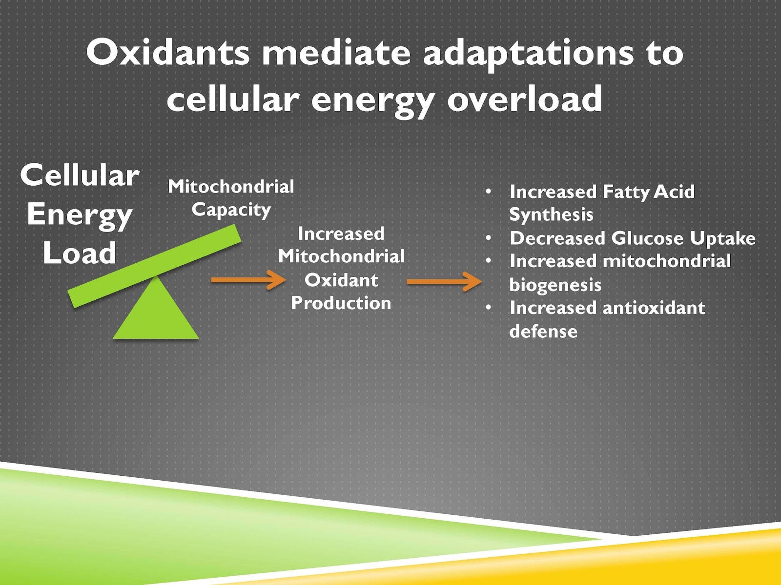 1. Physiological Roles of Oxidants