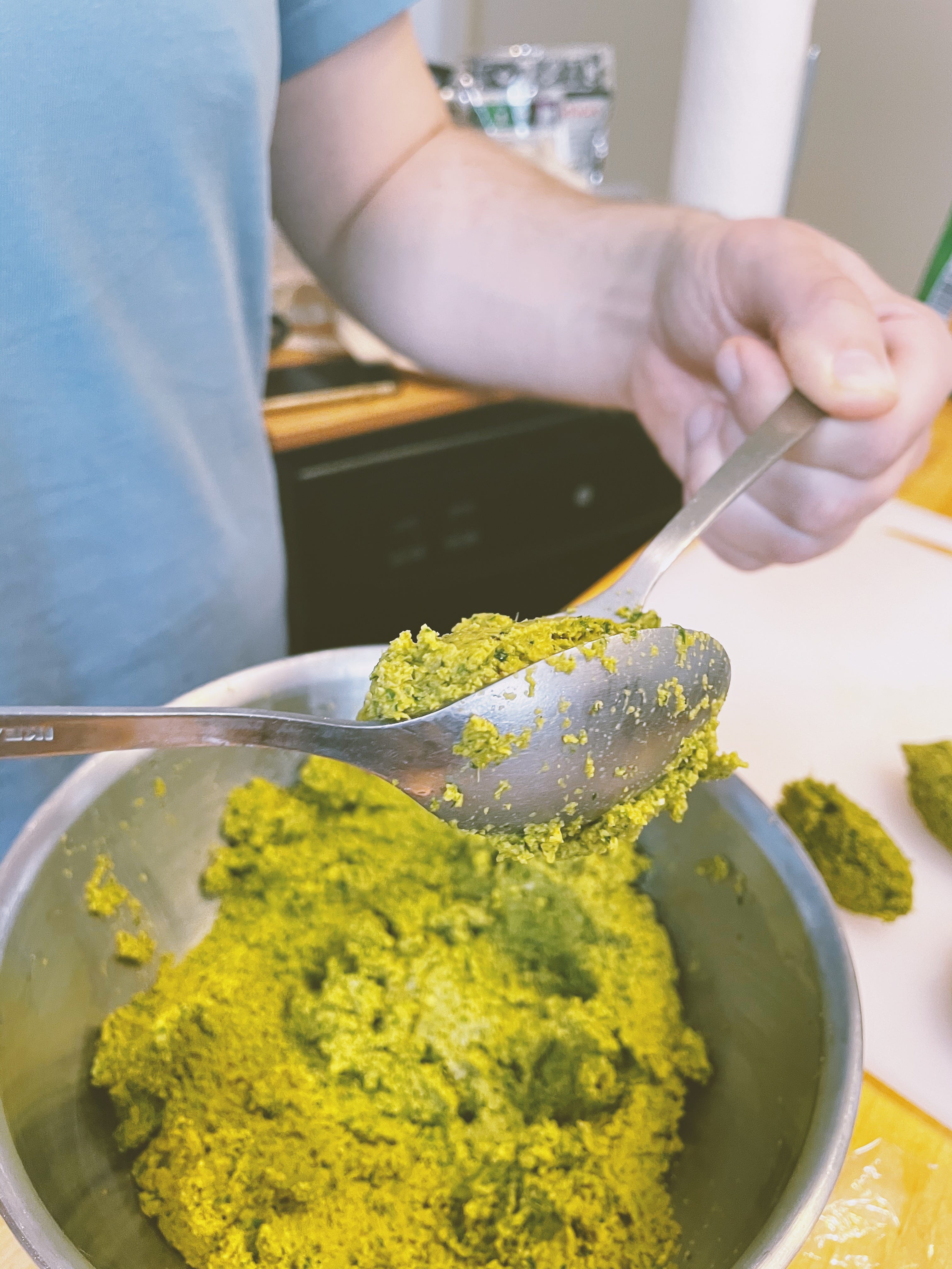 vol. 5: falafel - by johnathan and rachel