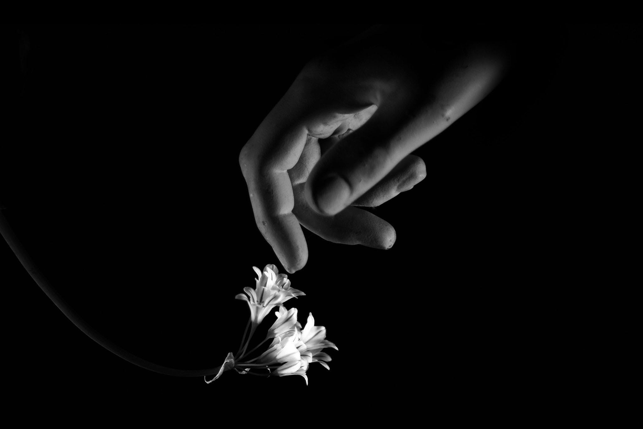 On beauty - by Richard Partridge