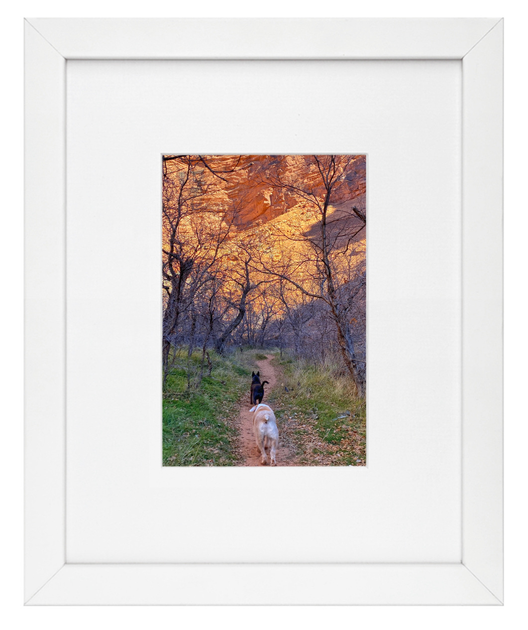 Tom Ryan, Author | Substack