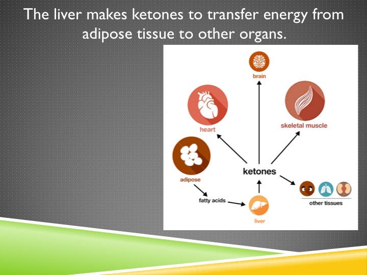 33. This is How We Burn Ketones for Energy