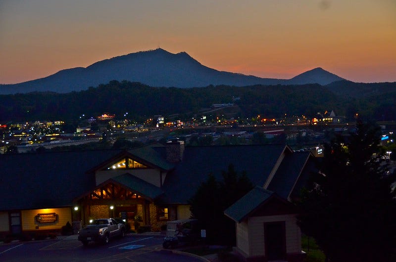 Albright Grove - by Boyce Upholt - southlands