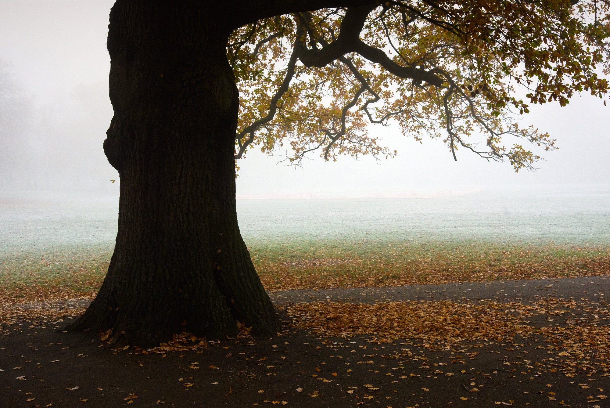 Simultaneous posting - by Paul Treacy