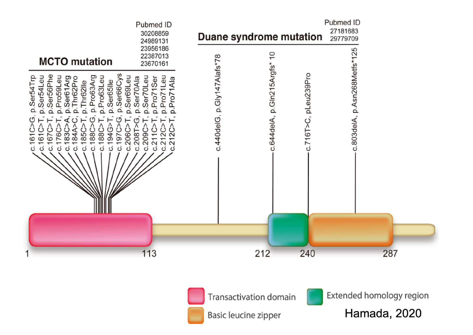 MCTO Cure Roadmap - by Ethan O. Perlstein, Ph.D.