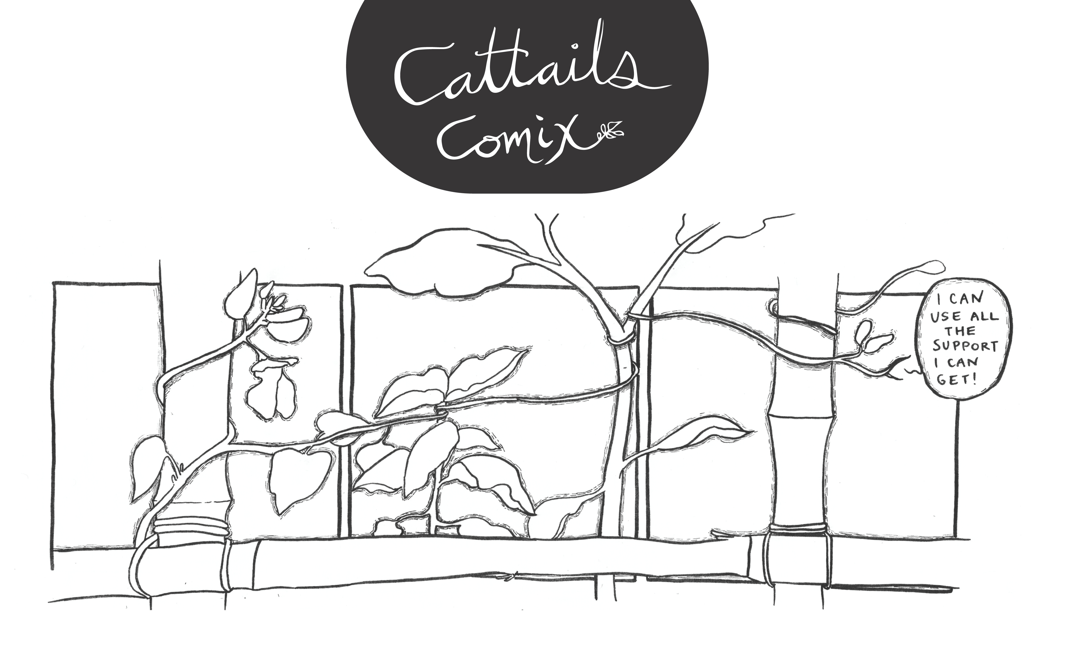 beans - Cattails Comix