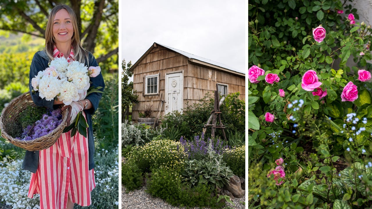 The Elliott Homestead Newsletter | Shaye Elliott | Substack