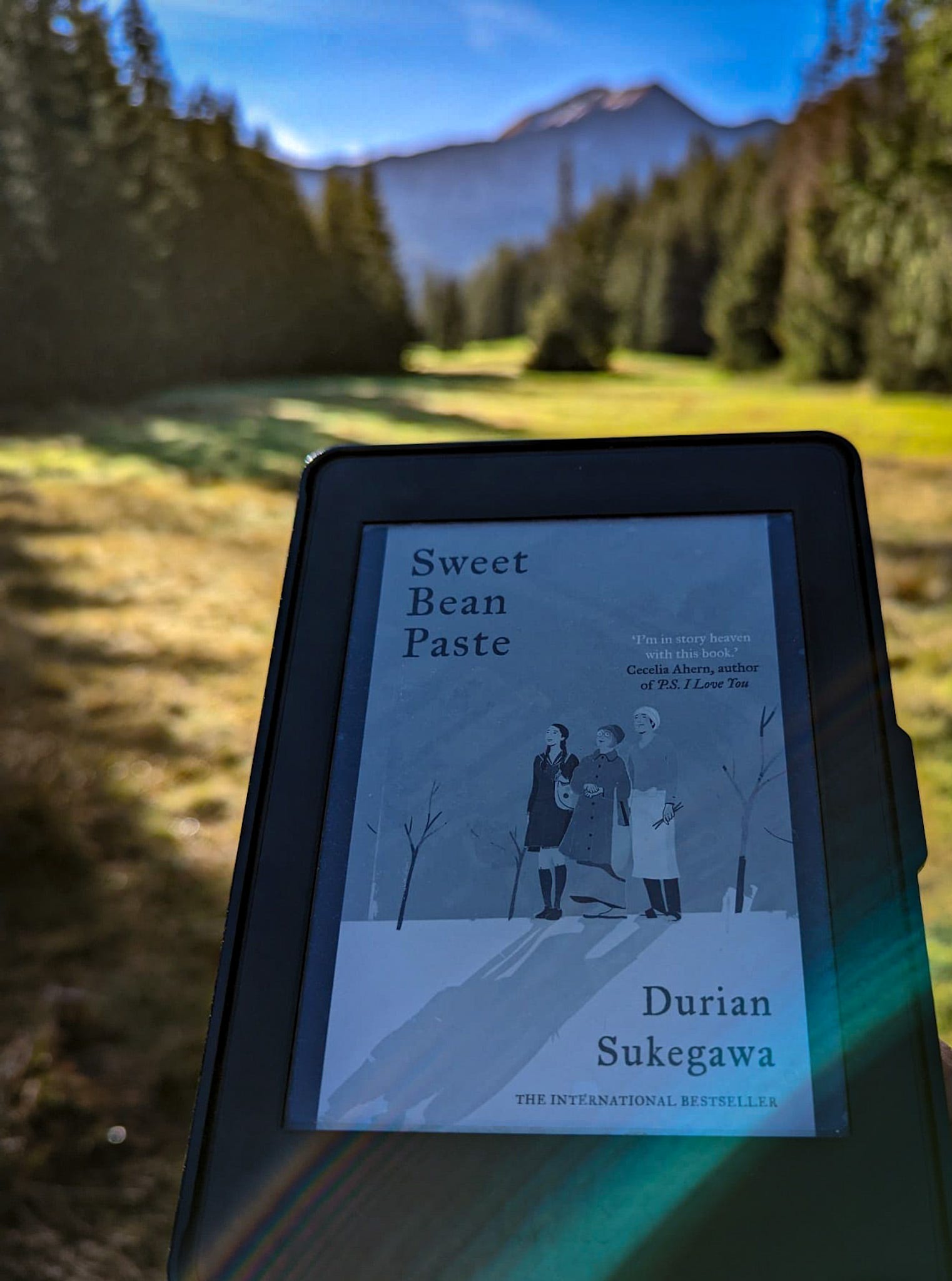 Book Review: Sweet Bean Paste by Durian Sukegawa