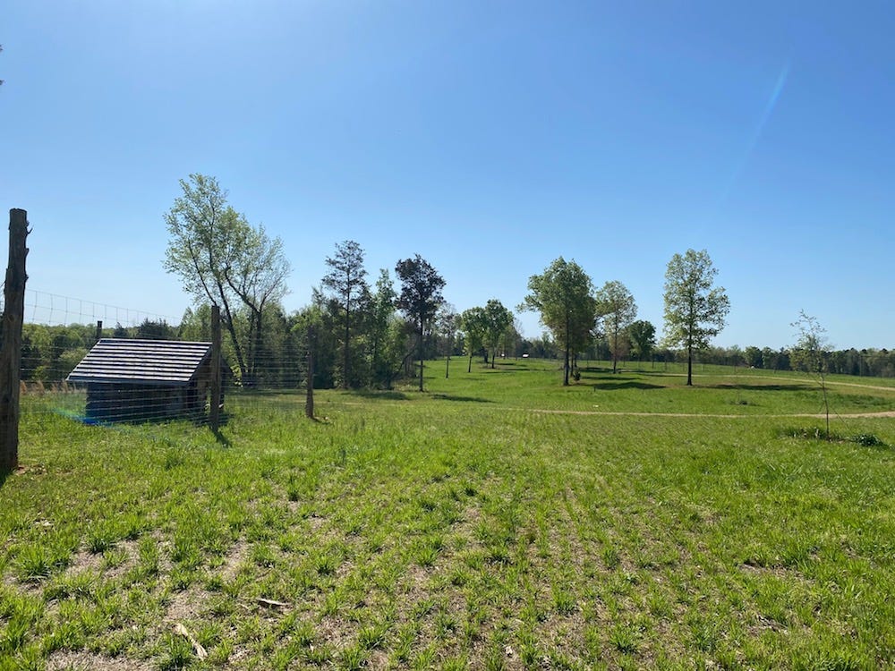 Hall Family Farm to open next week in new location in Van Wyck