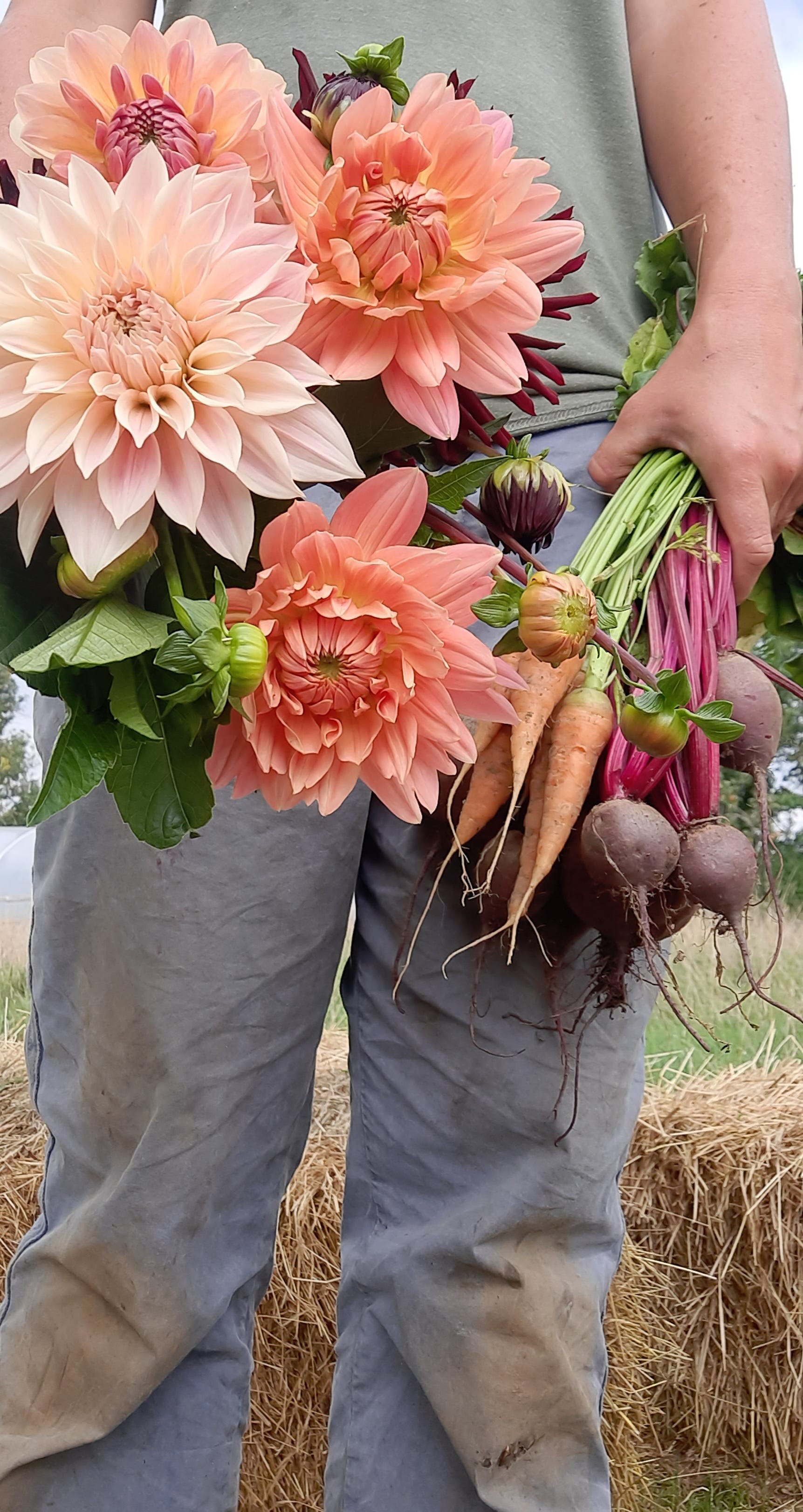 Suzie Rush | Substack