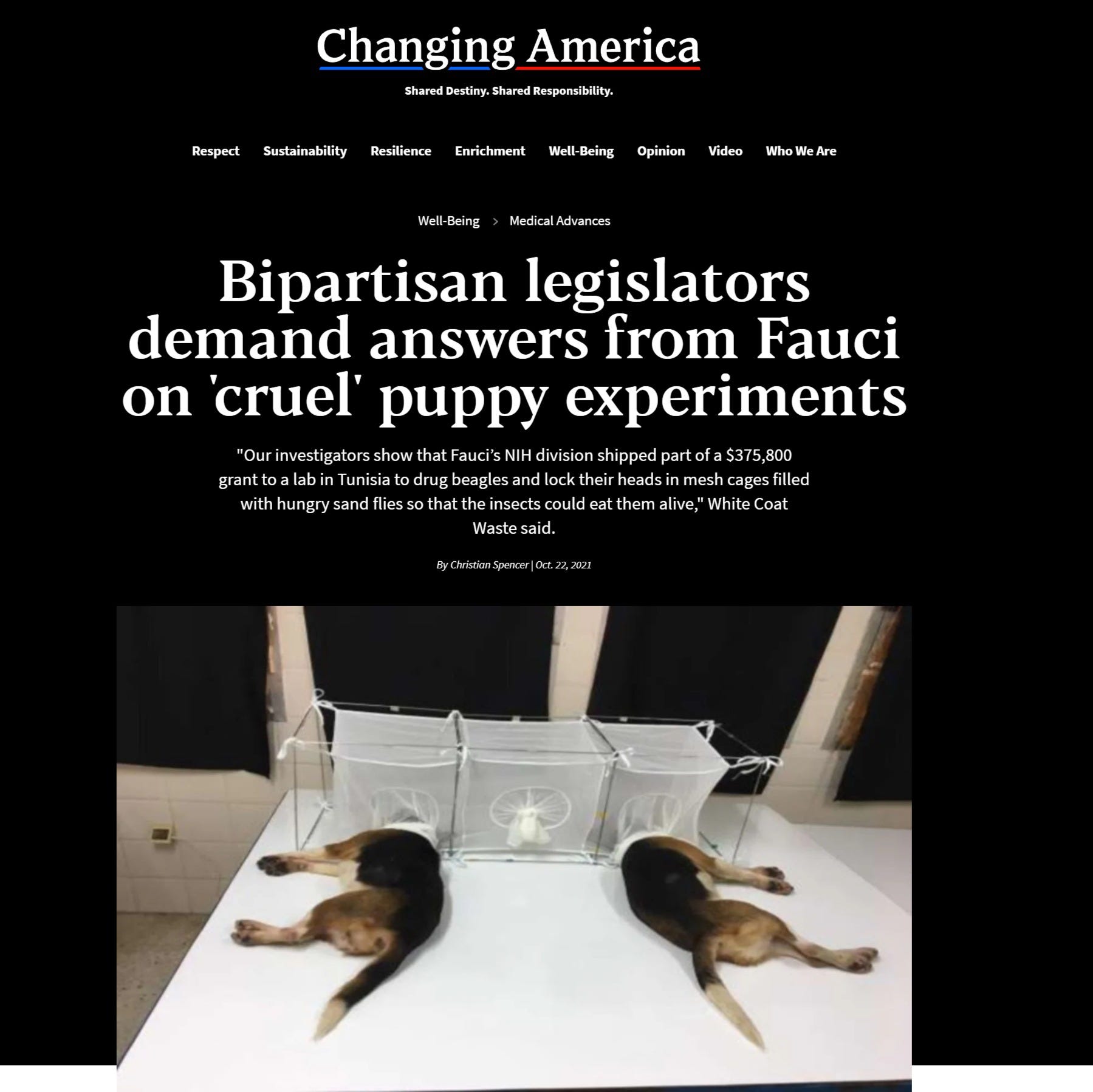 is #Beaglegate just a pretext to get rid of fauci?