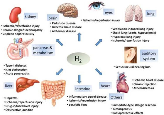 Why hydrogen is a functional medicine and how it will extend our lives