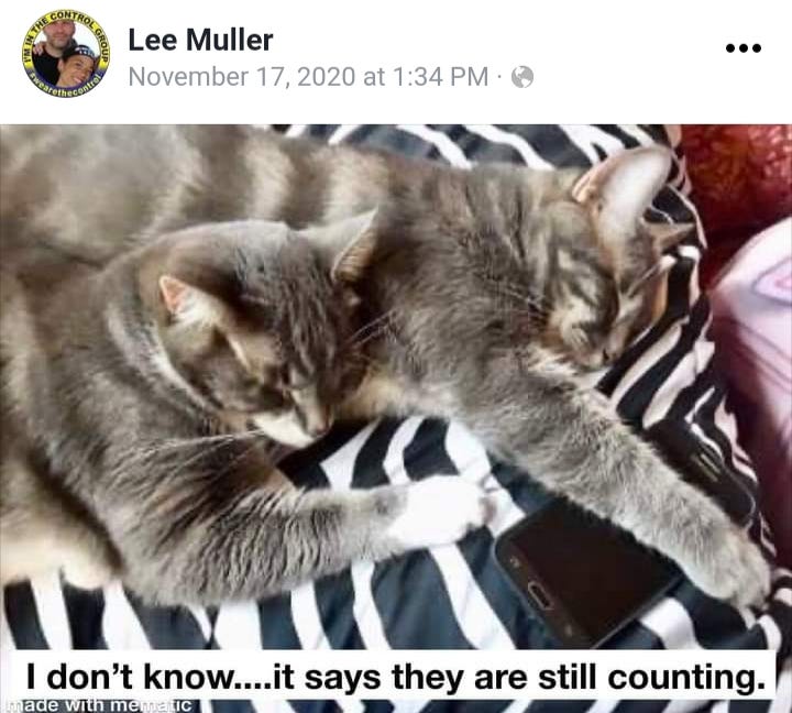 FRREEEEEE-DOMMMMMMM! - Lee Muller’s In Plainsight is 20/24