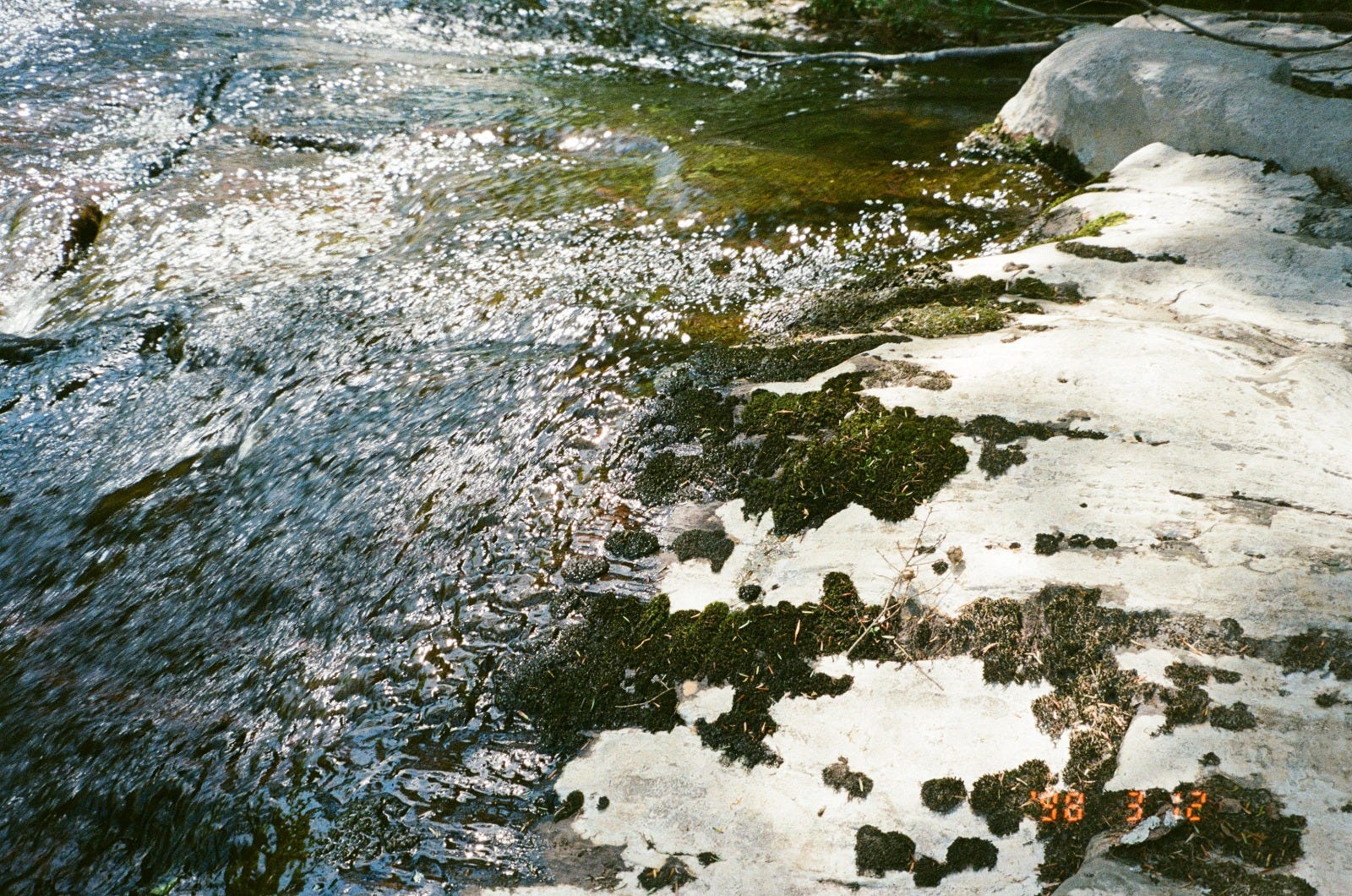 Bitter Kalli | Substack