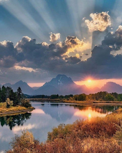 UNDERSTANDING SCHEDULE M-2 ON IRS FORMS 1120 AND 1120-S