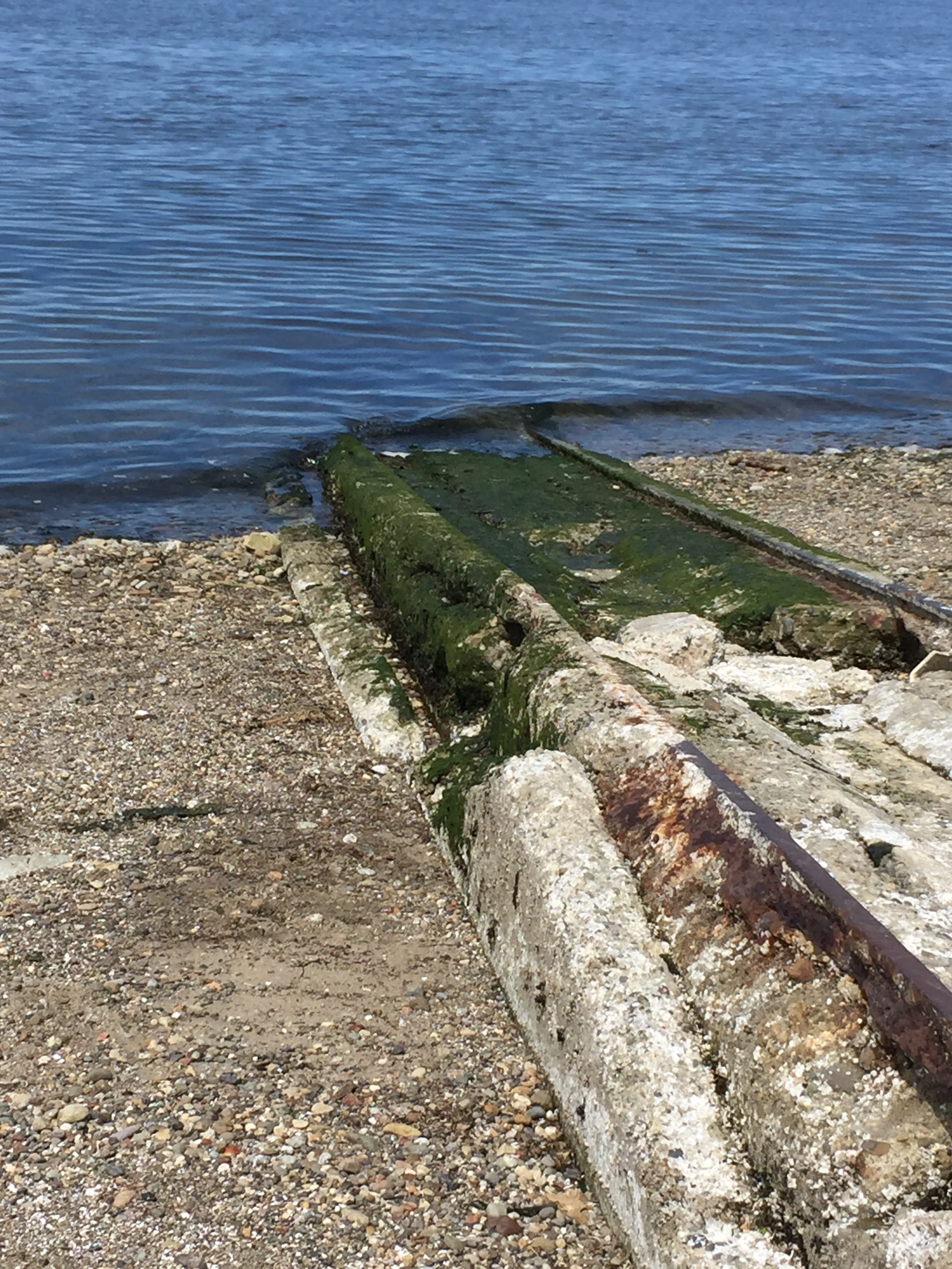 Richard Wiley | Substack