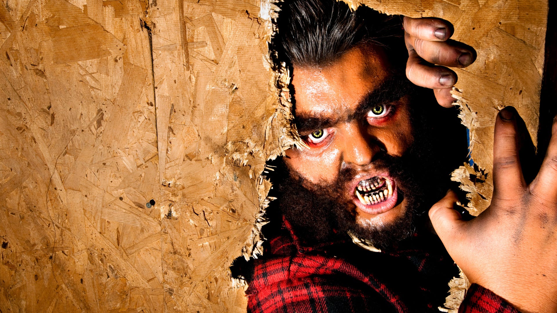 Werewolves Explained - what exactly are they?