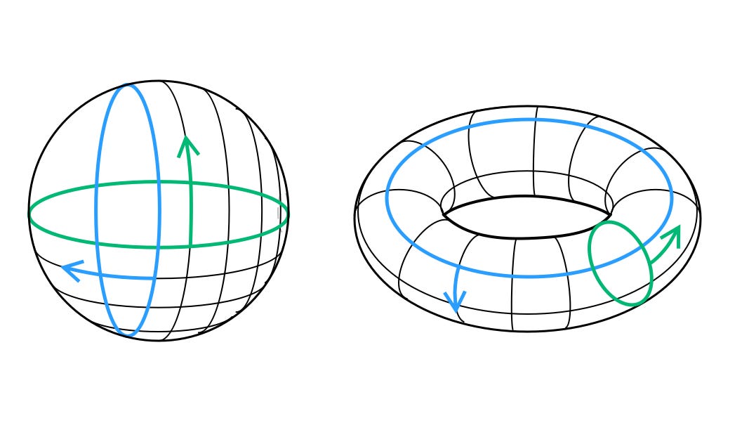 The Poincaré Conjecture - by Jørgen Veisdal - Privatdozent