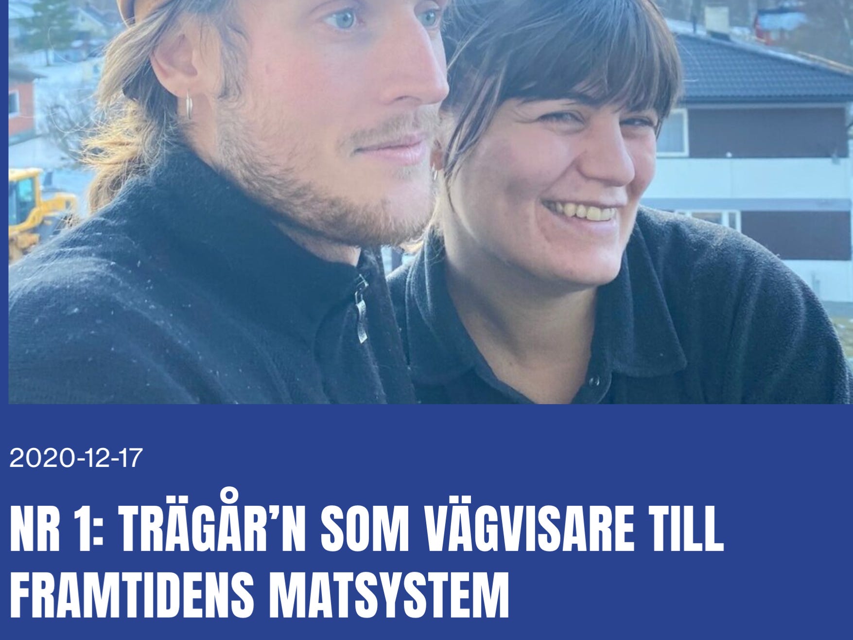 Bland hållbara humbugar och cirkulära charlataner i de jämtländska ...