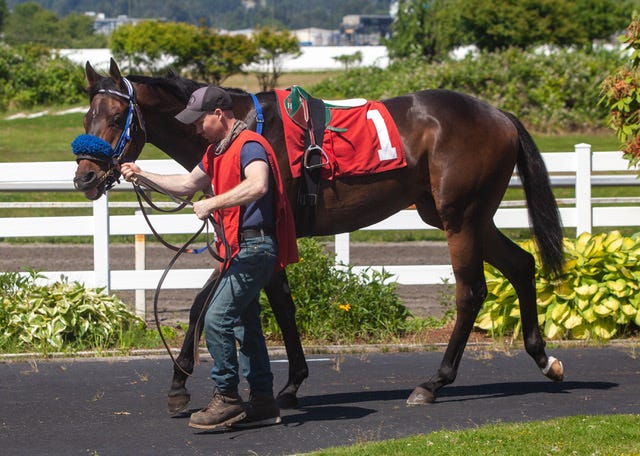 Hastings' Weekly Winter Round-Up - by Nigel Reid