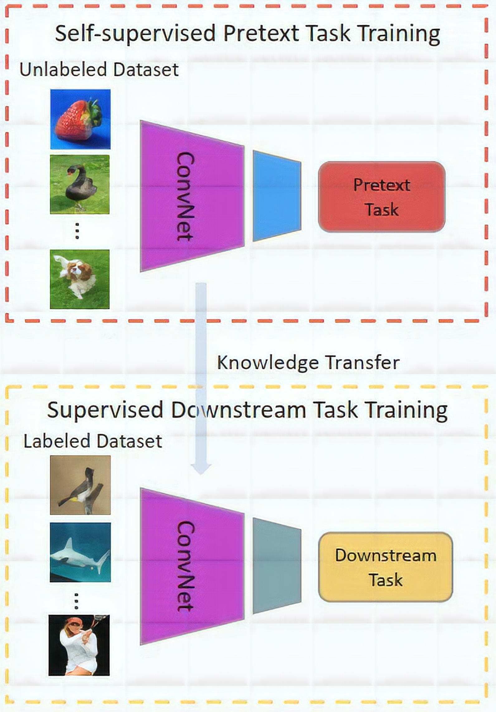 Self-Supervised Learning - Part 1: Simple and intuitive introduction ...