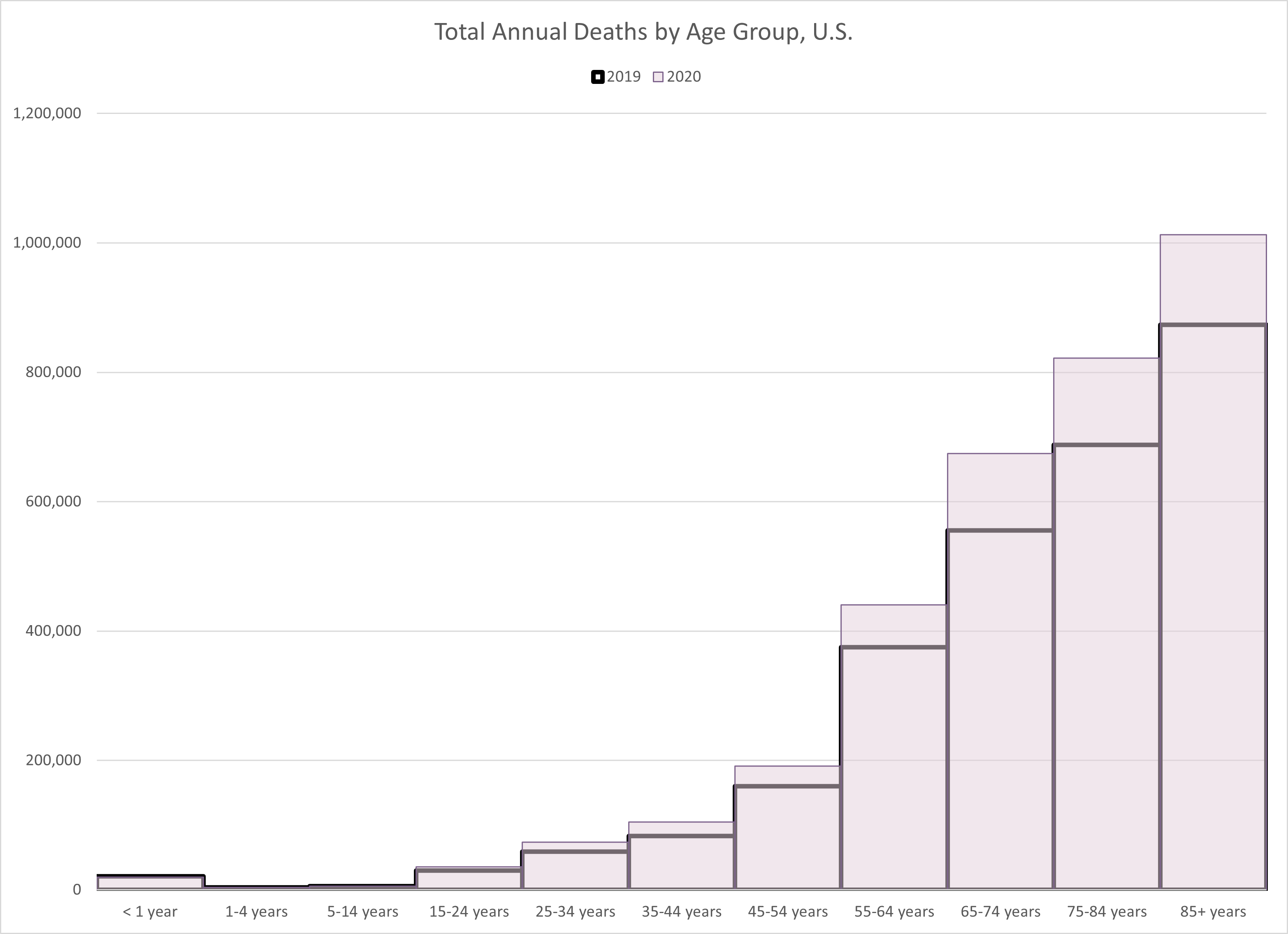 Top Causes of Death by Age Group, 2020: Raw Numbers