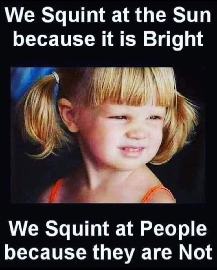 MONDAY MORNING MEME DUMP - by Tyler Zed - The Zed Letter