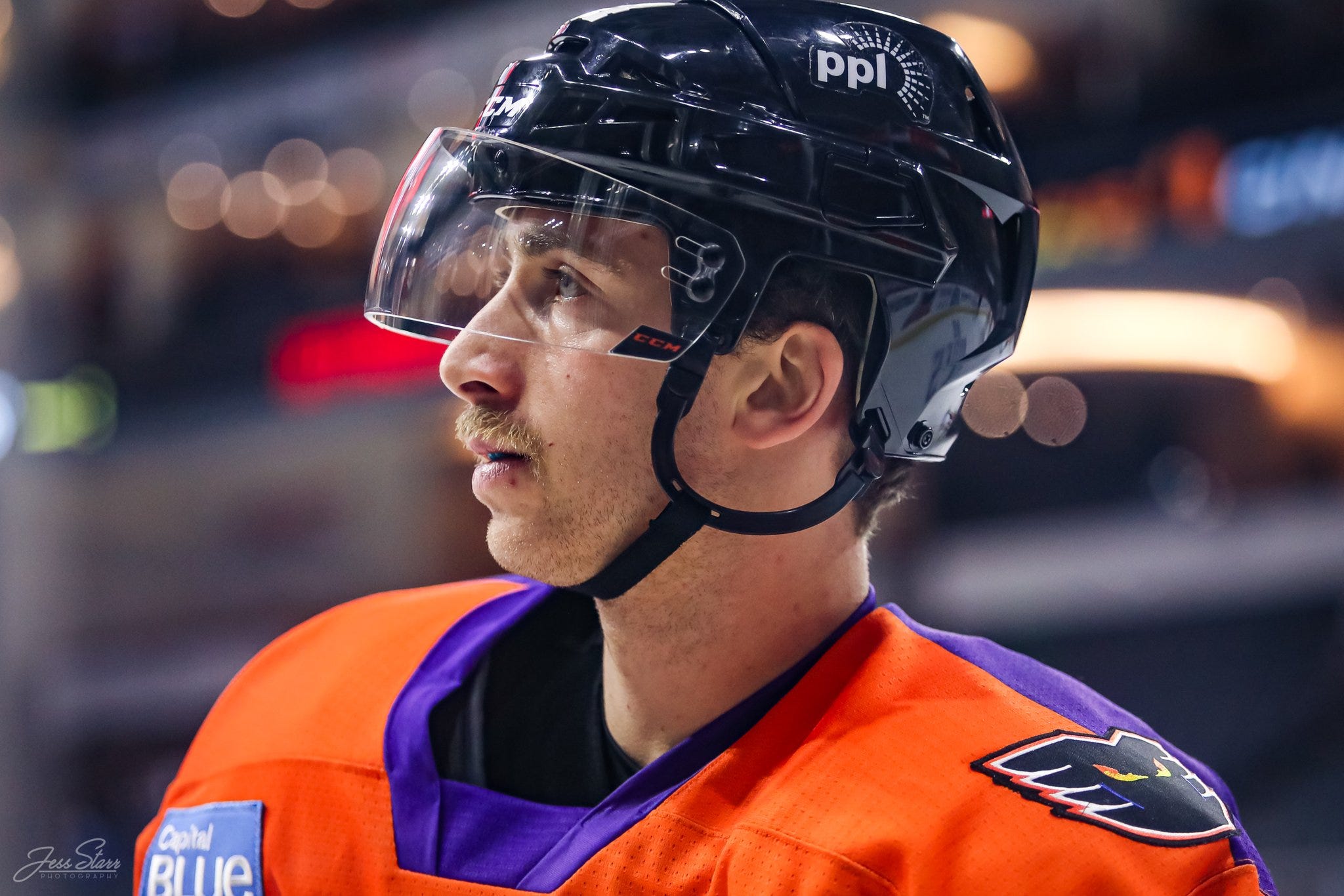 Reece Willcox | Substack