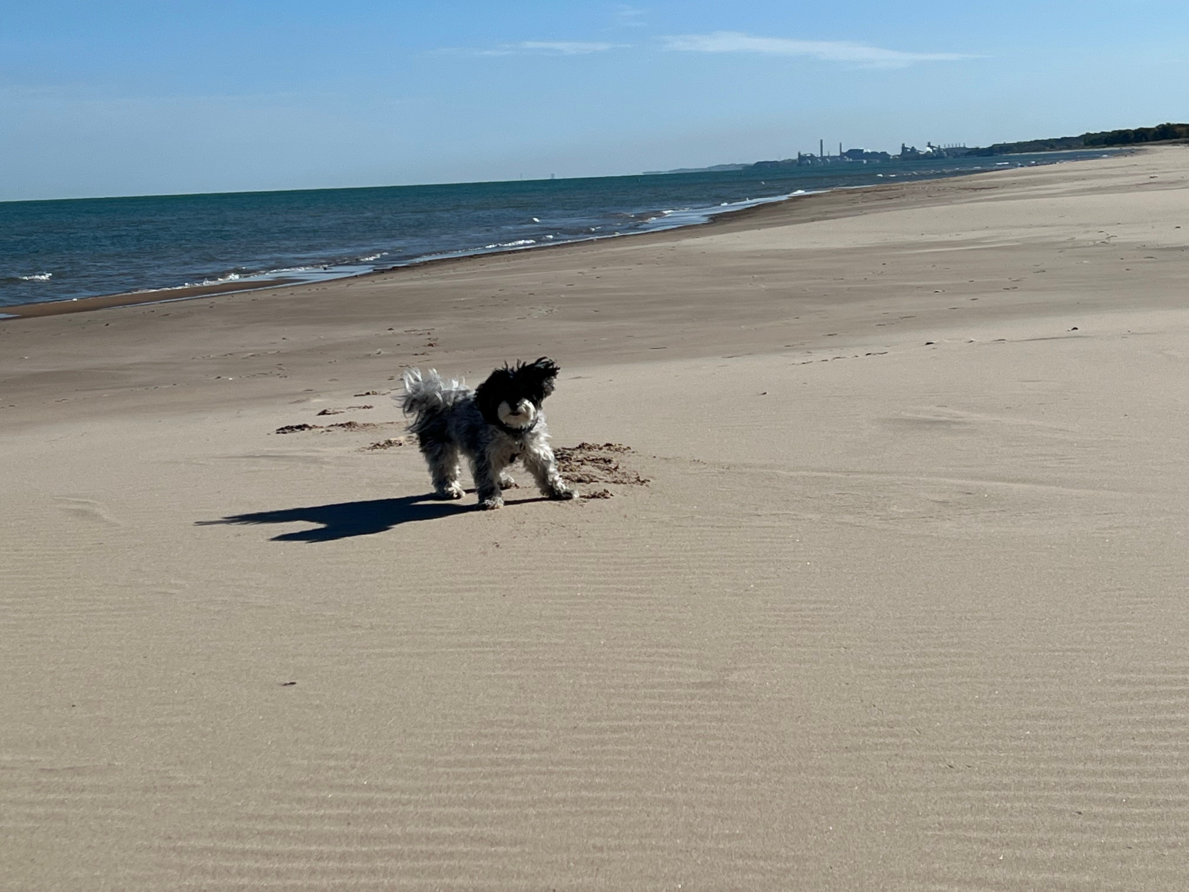 Start Here: Discovering and Moving to Miller Beach