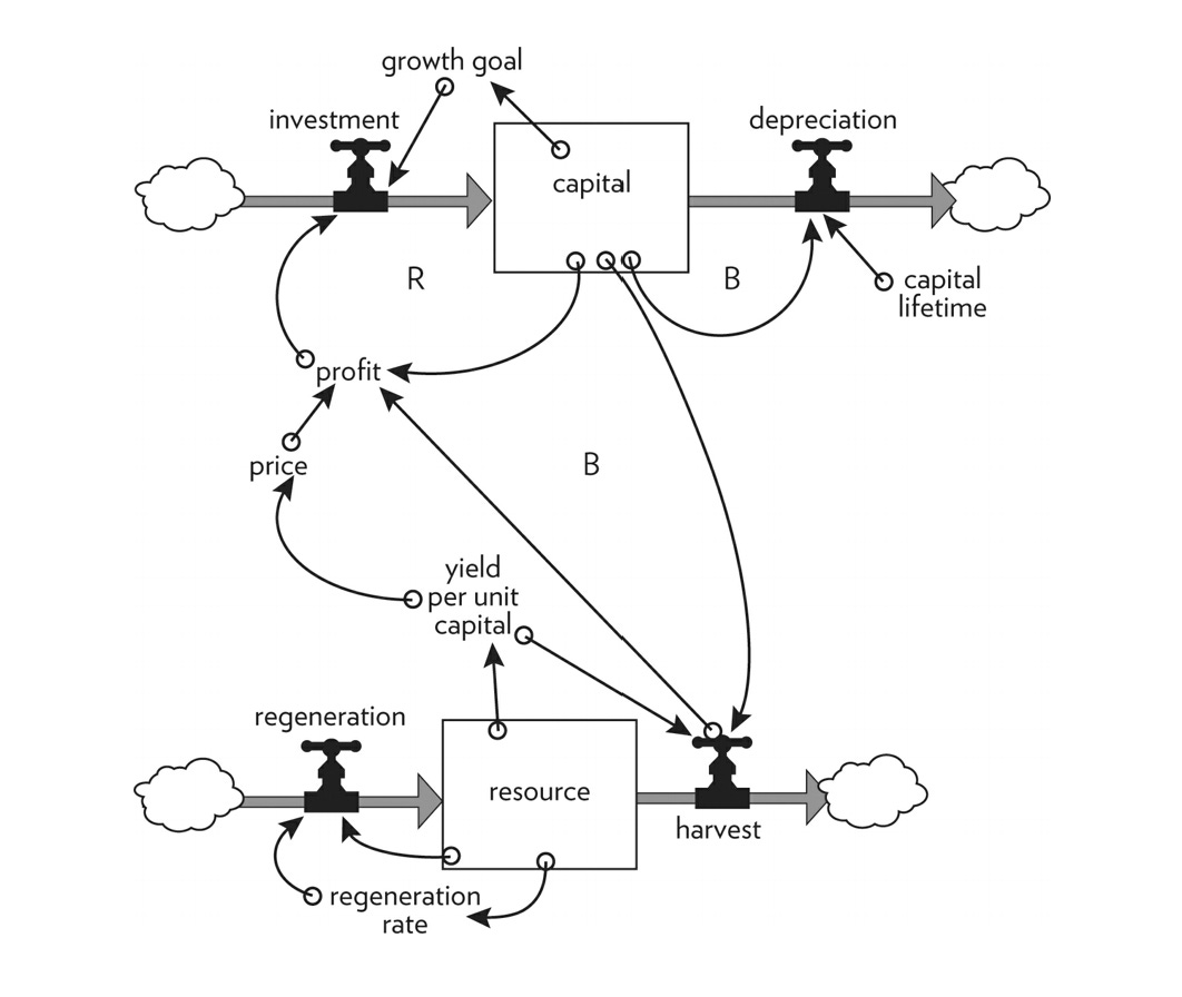 Systems Thinking — Stocks, Flows, and Feedback Loops