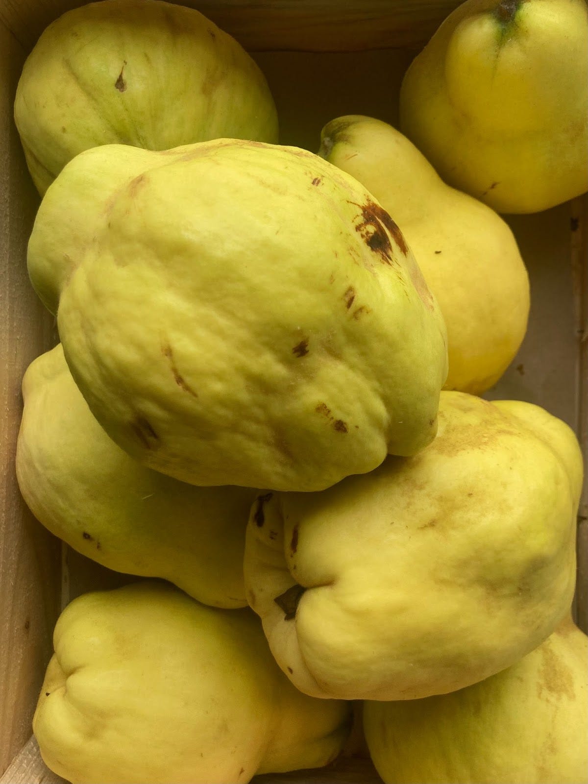 Ómós Digest #70: Quince & autumn. - Ómós Digest