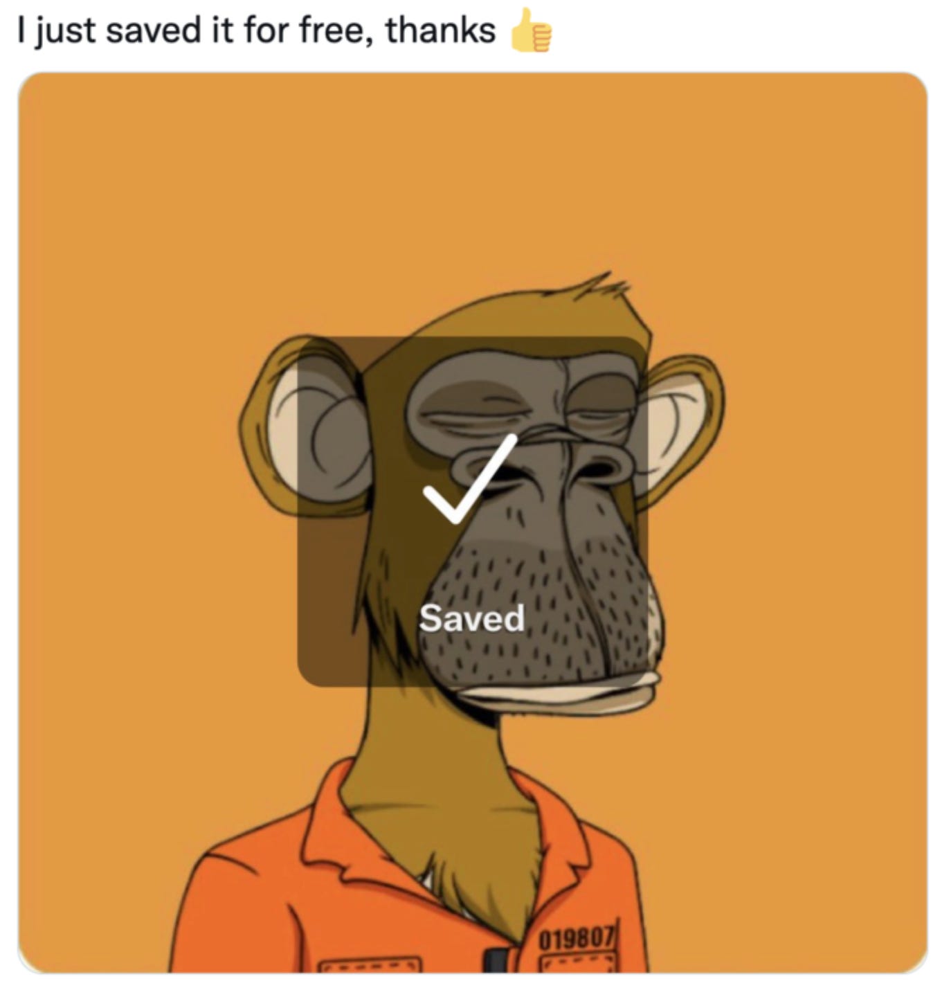 The Coming of Bored Ape Yacht Club and ApeCoin