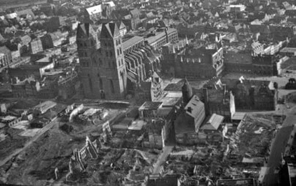 'Area Bombing' gets scientific support - by Martin Cherrett
