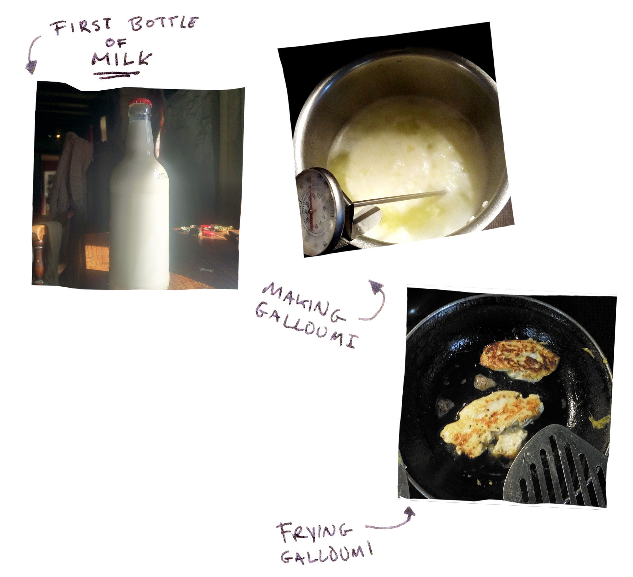 An Introduction to Goat Wisdom - Walking with Goats