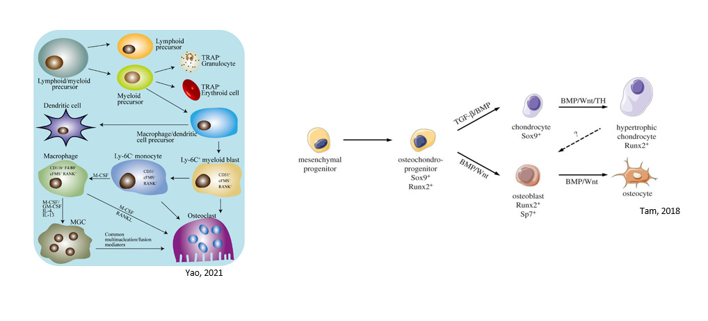MCTO Cure Roadmap - by Ethan O. Perlstein, Ph.D.