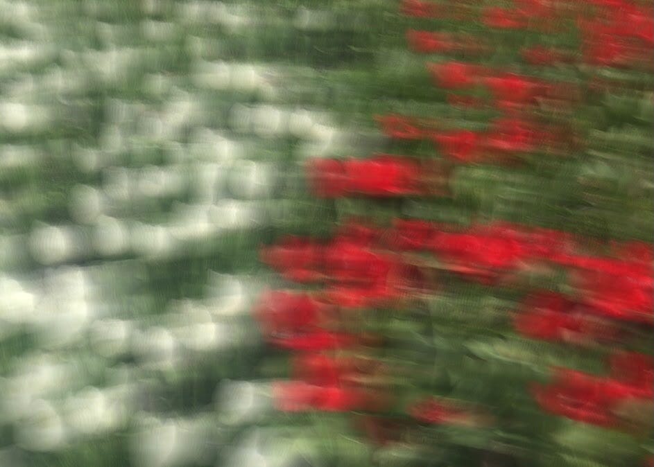 Living on the Edge - by Kim Manley Ort - Seeing Clearly