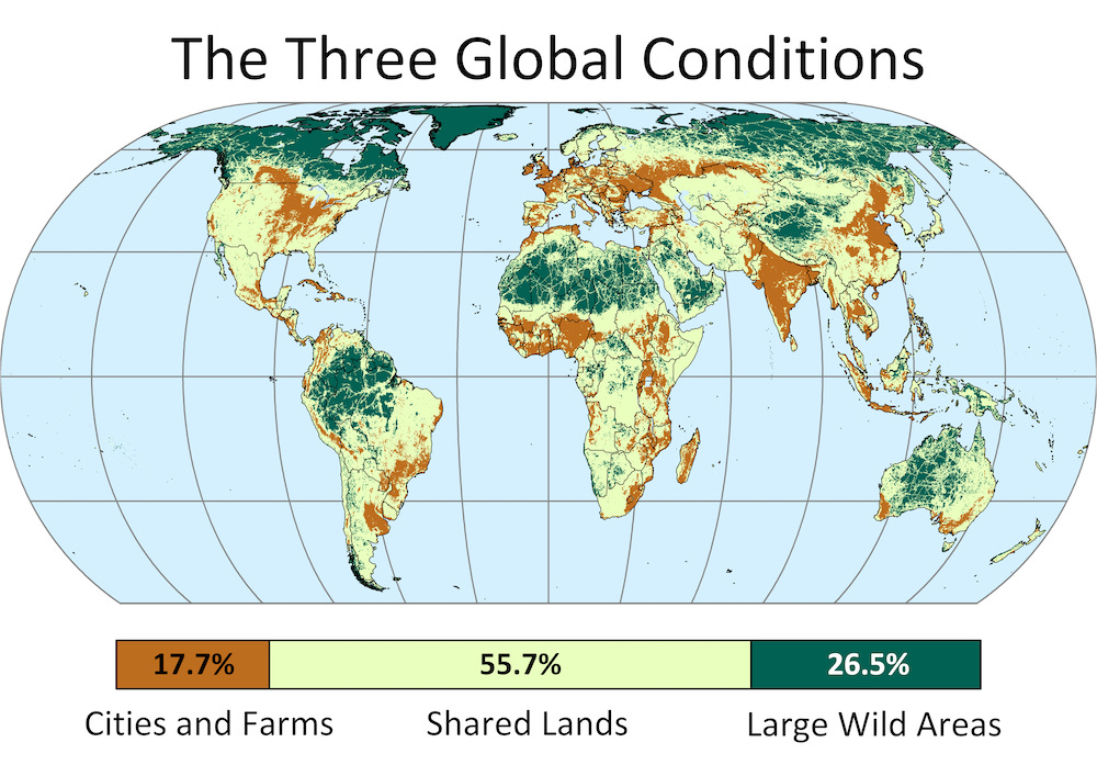 Biodiversity, Extinction & Cloning - by Jae Seung