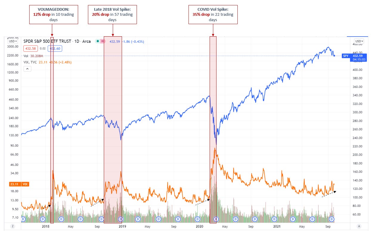 The Volatility Squeeze - The Last Bear Standing