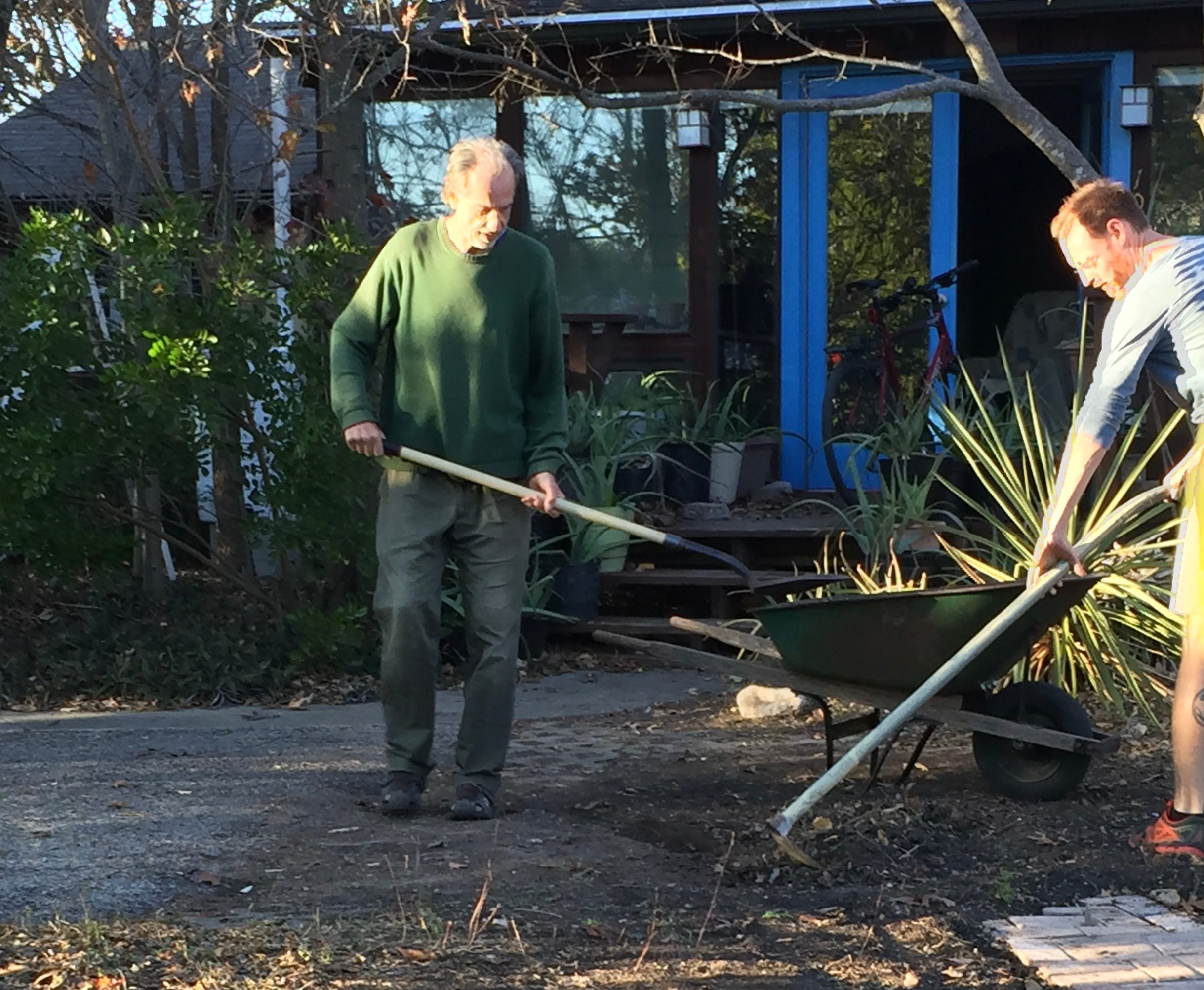 farming in the front yard - by rohn bayes - the rohn report