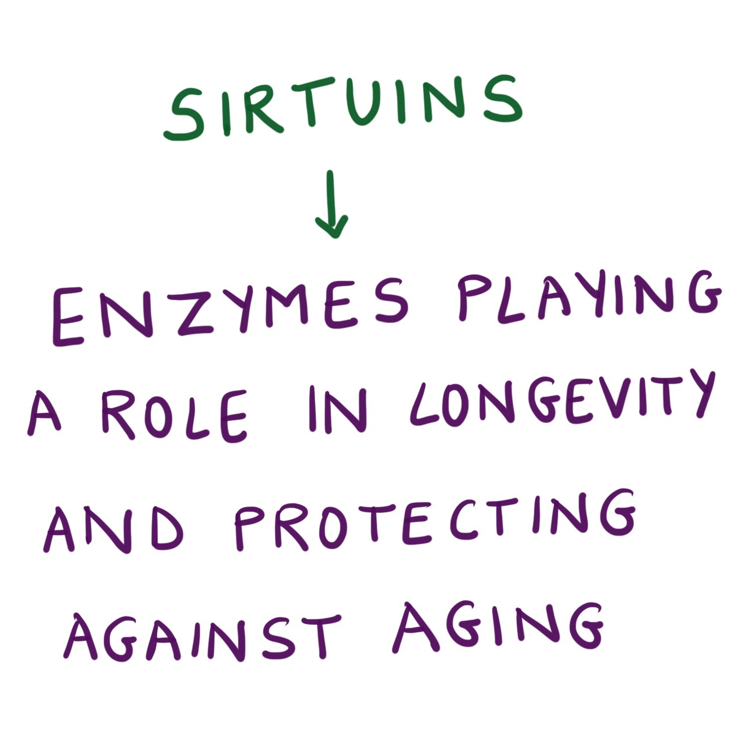 David Sinclair's Theory of Aging - by Aastha Jain Simes