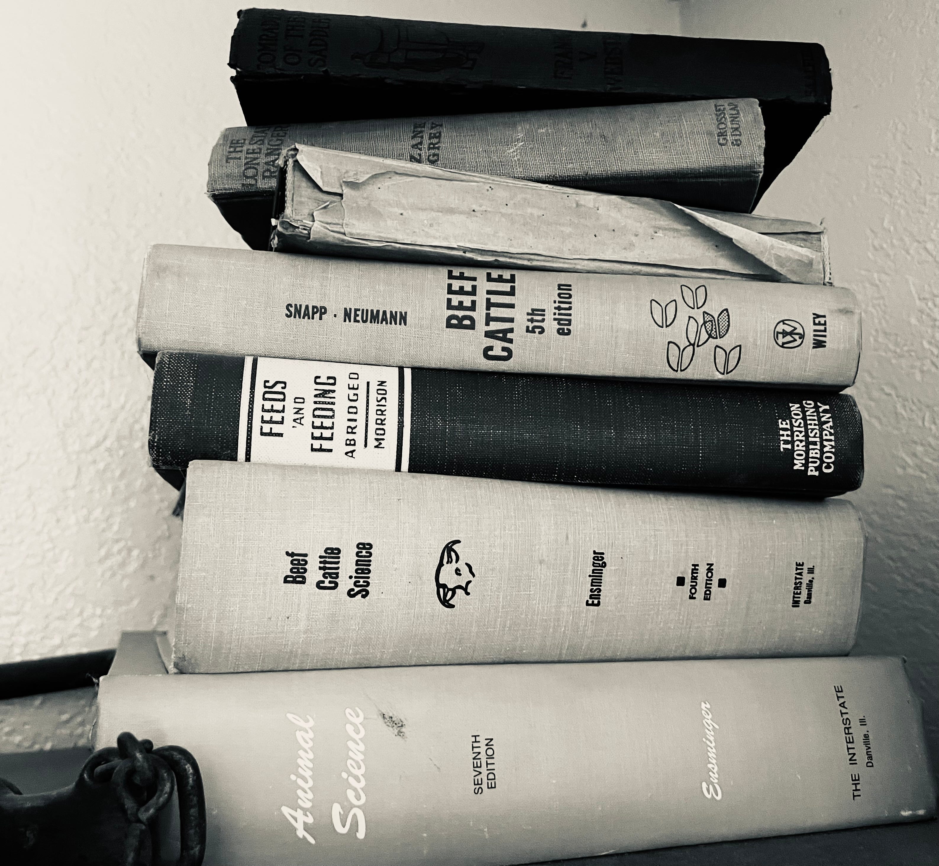 Husbandry 101 - 1st Edition - by A. L. Bork, DVM