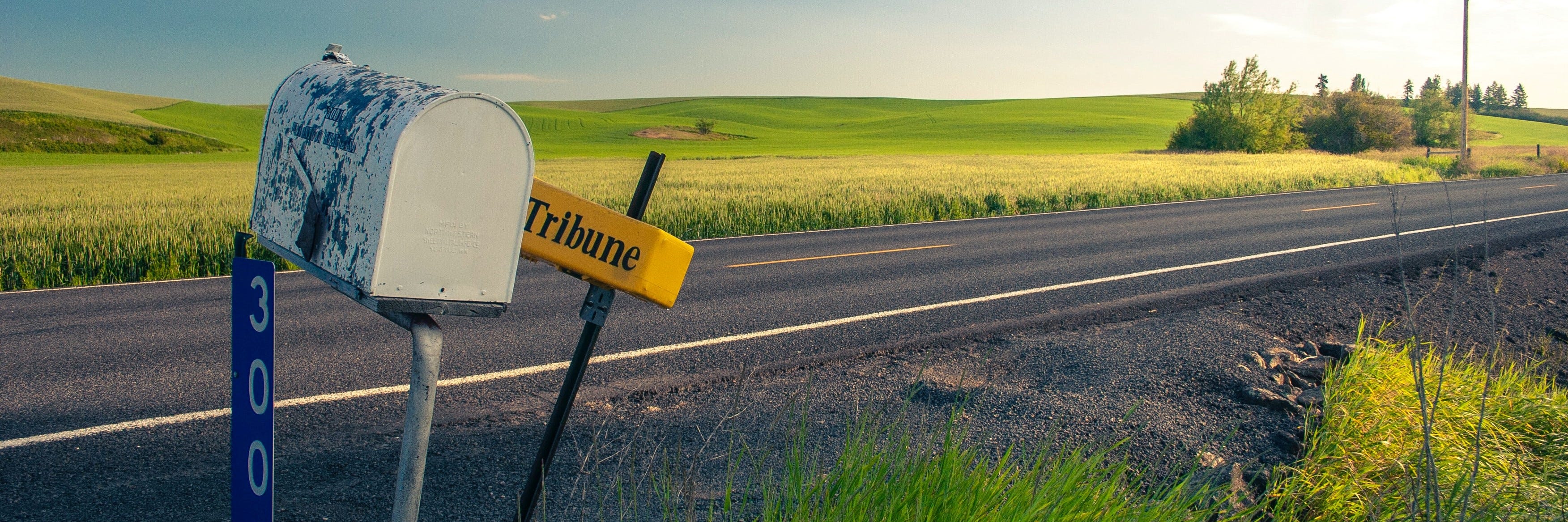 Track and reduce your carbon footprint - by Forge Pulse