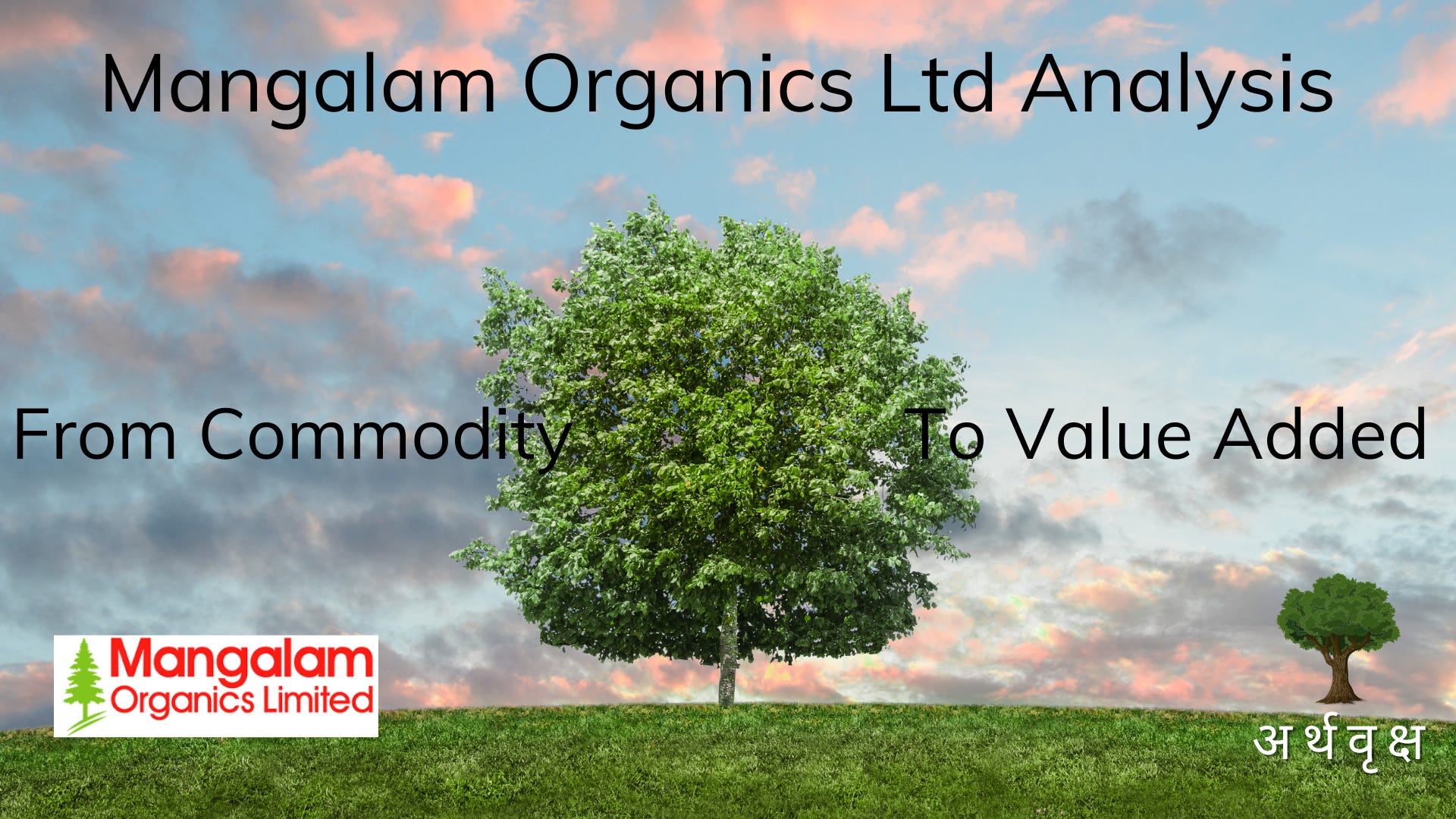 Mangalam Organics Ltd:- From commodity to value added?