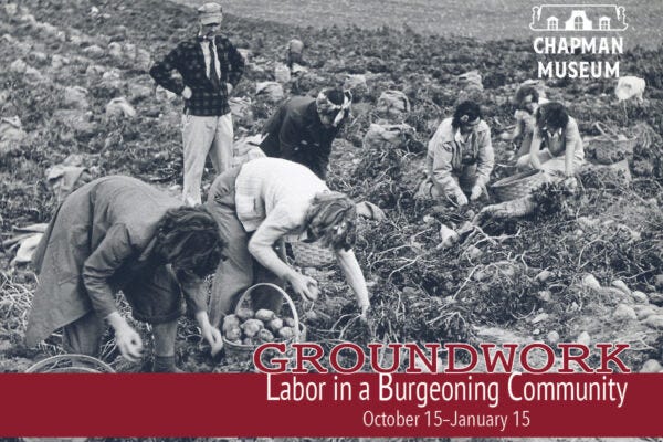 Chapman gives voice to workers - by Ken Tingley