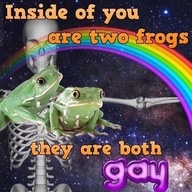 The newest queer icon: Frogs - by Brian Feldman - BNet