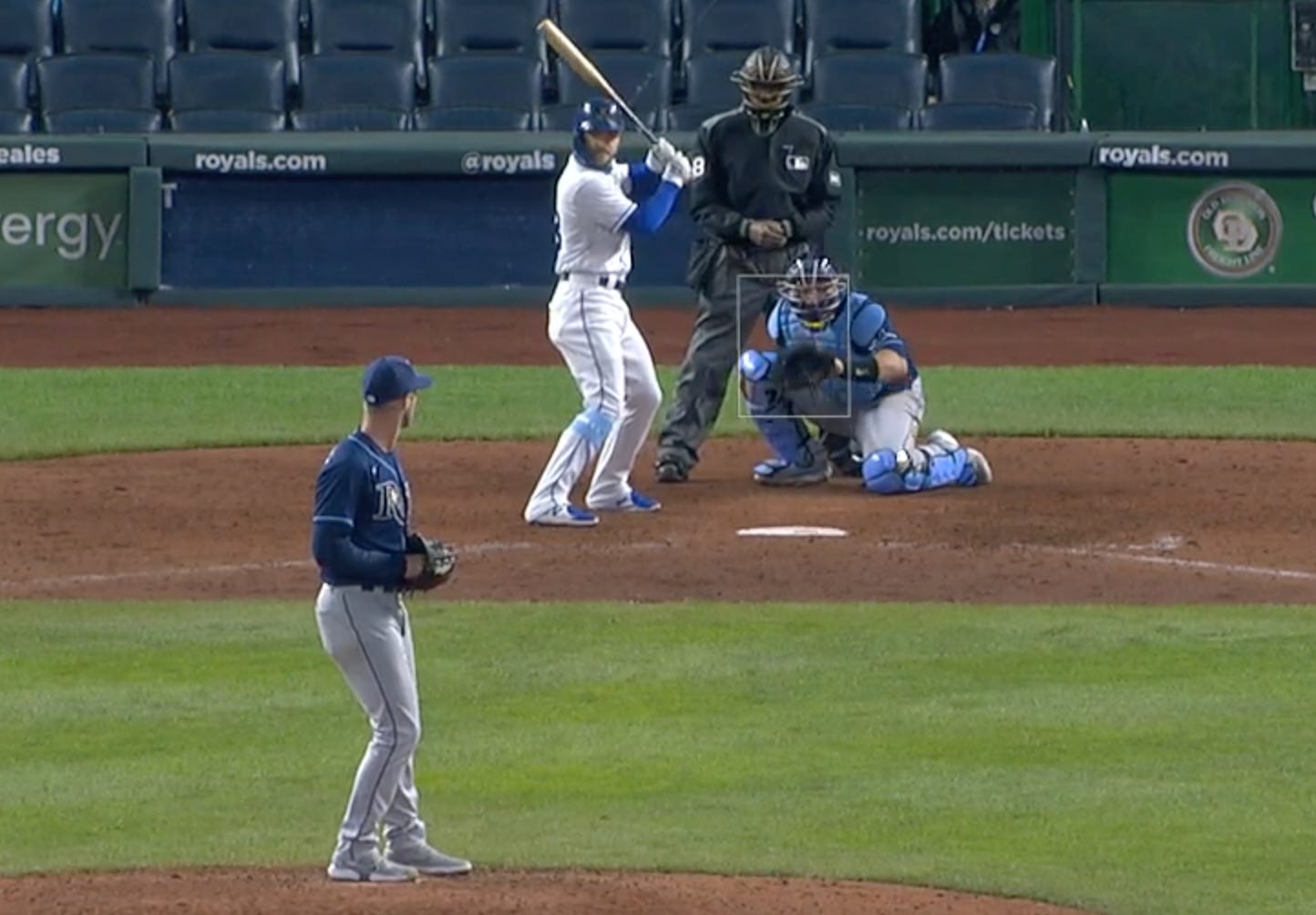 Letters from camp: The case for Kyle Isbel - by Craig Brown